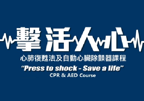 FSD Public Training Portal