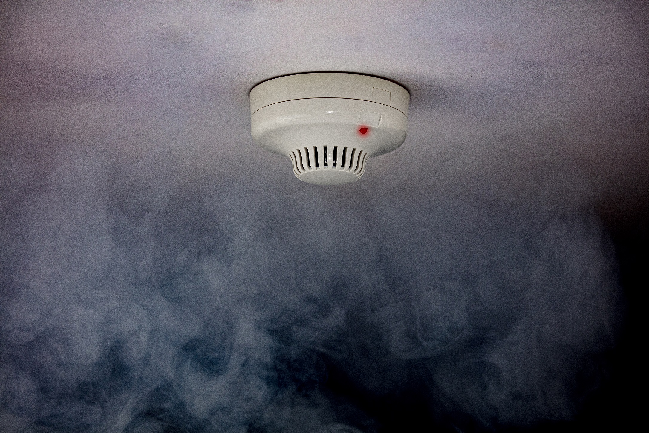 FSD Public Training Portal