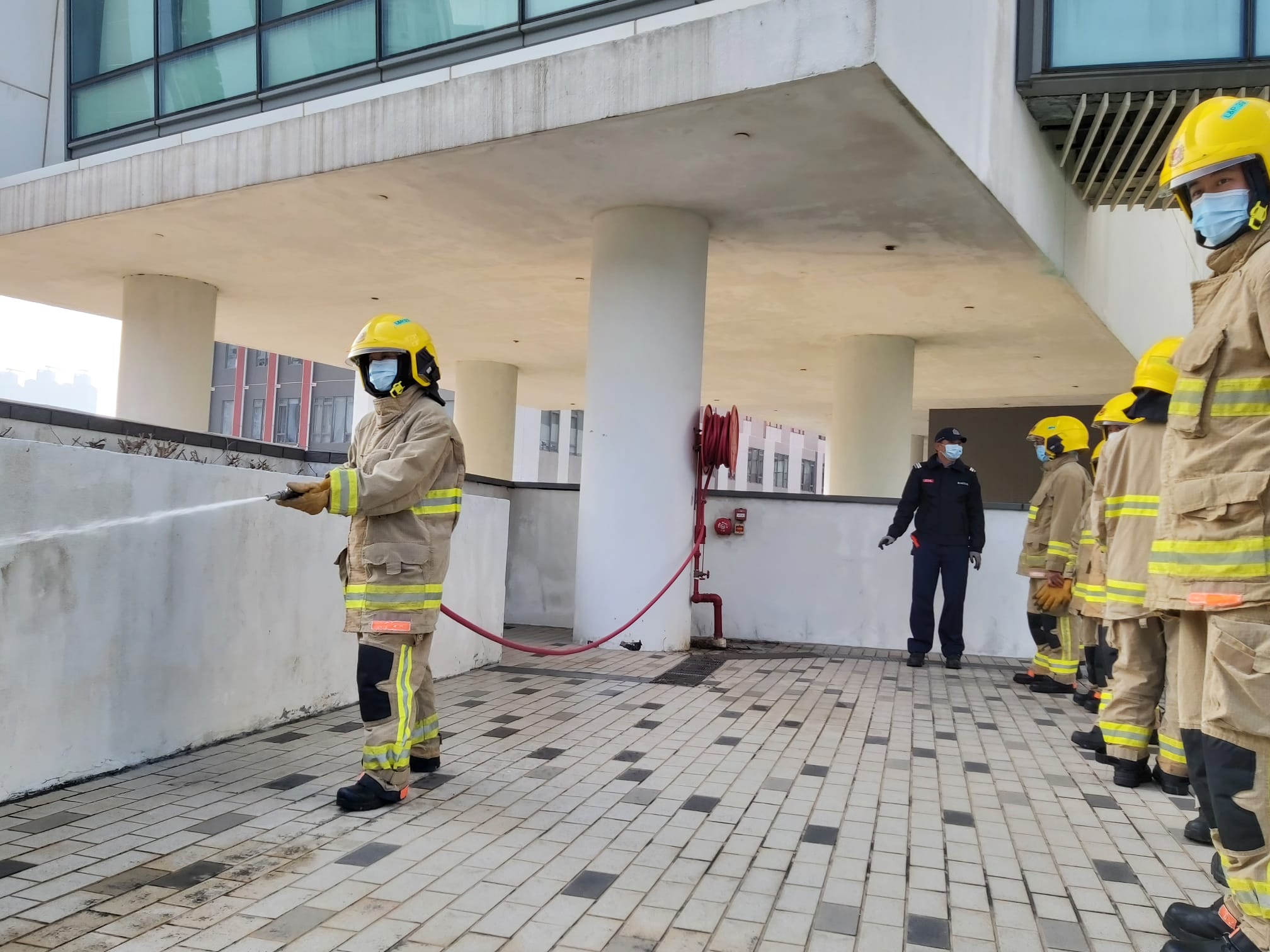 FSD Public Training Portal