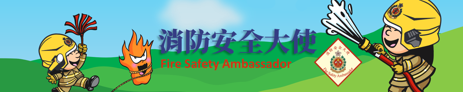 FSD Public Training Portal