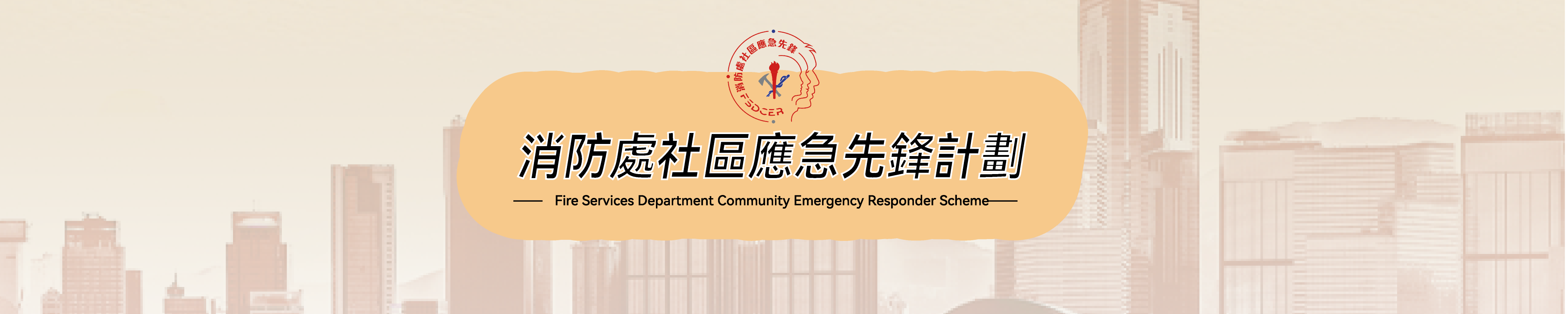 FSD Public Training Portal